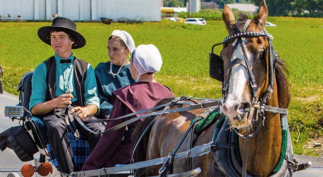 Visit the Amish in Lancaster - What to see and do in Lancaster